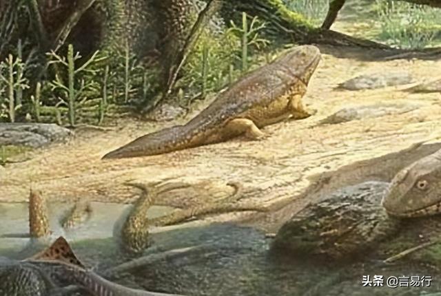 The first amphibian on Earth, the ichthyosaur, could breathe oxygen ...