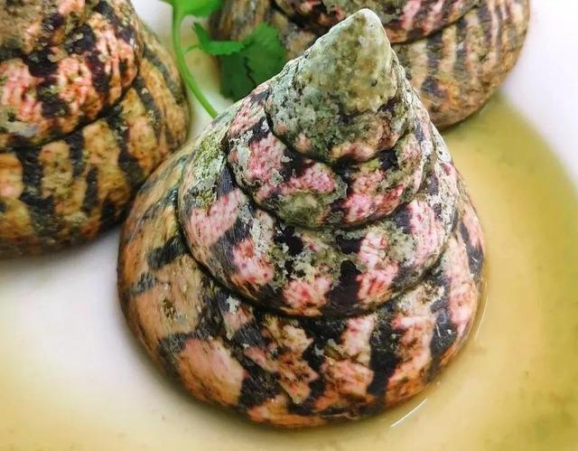 Come to Hainan to taste seafood in winter - a horseshoe snail that ...