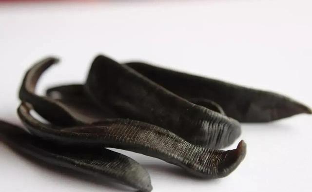 The leech, the secret of traditional Chinese medicine, is used for ...
