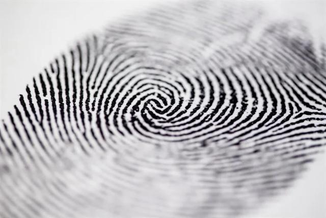 How are fingerprints formed? - iMedia