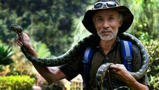 As the saying goes: "beat a snake and hit seven inches", where does the ...