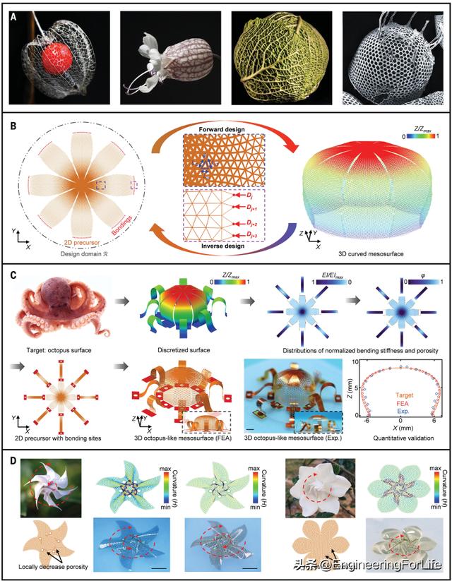 "Science" Tsinghua University: artificially customized three ...