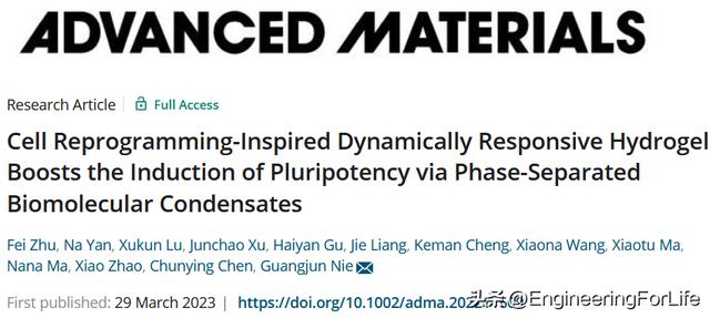 Novel dynamically responsive hydrogels enhance pluripotency induction ...