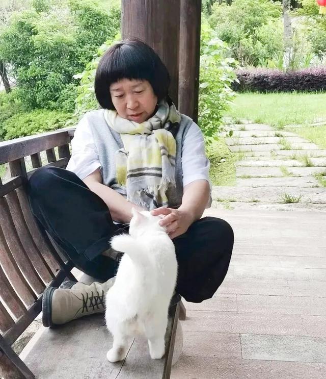 Pure interest and authenticity - painter Zeng Xiaoyu - iMedia