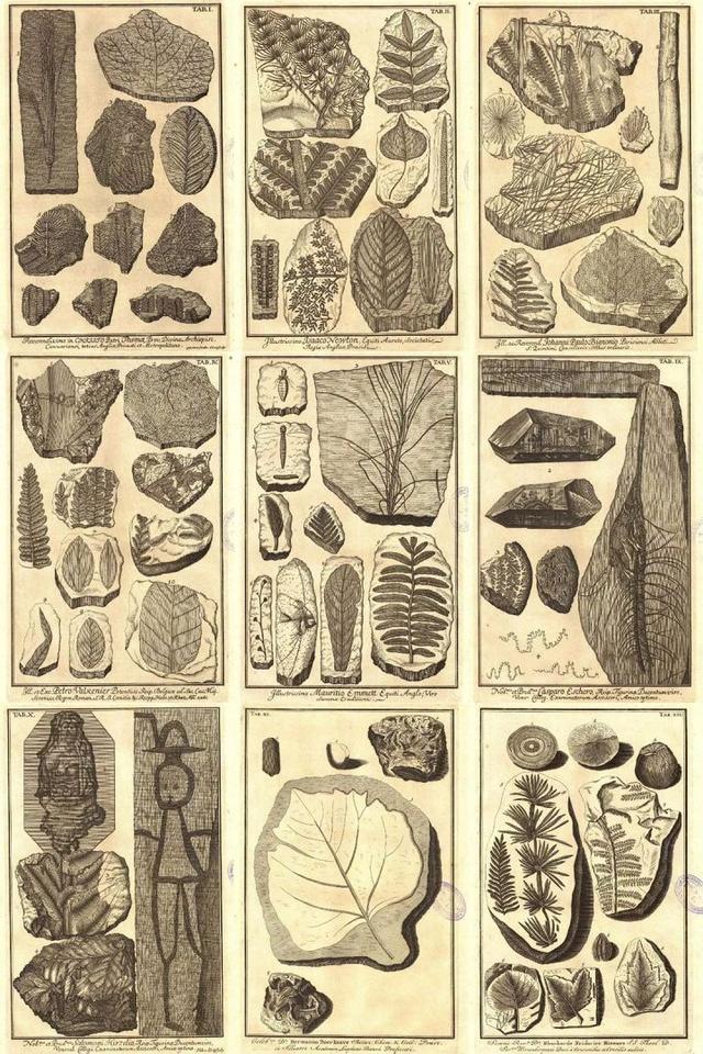 The Lying Stone from "Wurzburg Lithograph" - iMedia