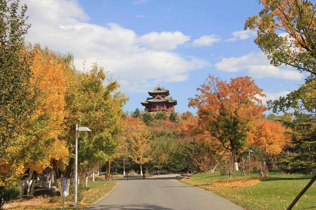 Beijing autumn in October, unpopular autumn scenery, desolate and ...