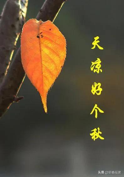 Hidden Head Poem - iMedia