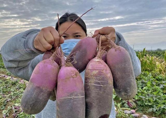 Dali Shayuan's "Ice Cream Radish" - iMedia