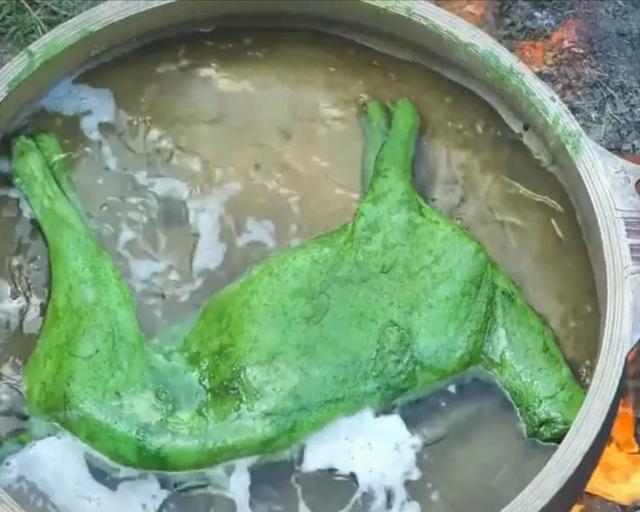 Indian food green corpse cold, "Wait for the court?" - iMedia