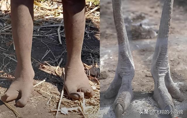 The world's strange "bird-footed" tribe - iMedia