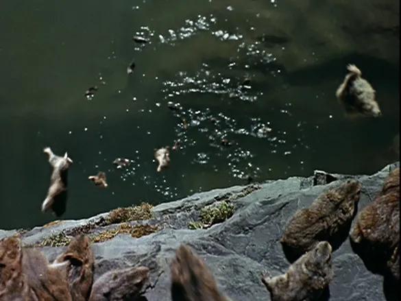 The famous lemming effect, its ins and outs - iMedia