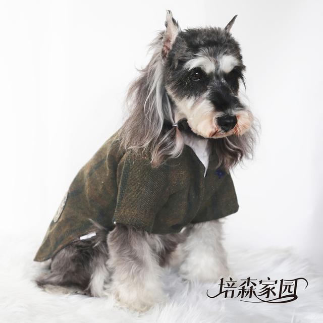 "The Faithful Dog Hachiko": Nine Years of Waiting to Interpret Loyalty ...