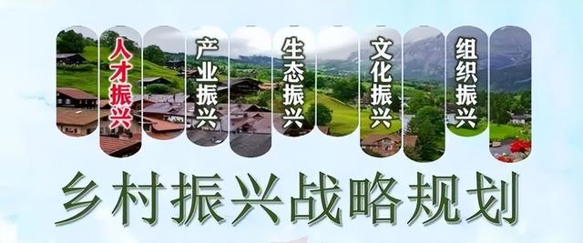 Panshi Digital Talent Education Cloud: Live broadcast has become an e ...