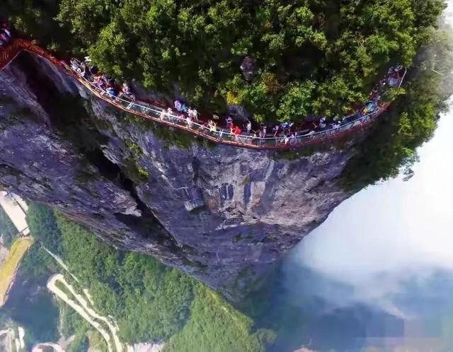 There are many choices in "Road of Life", and jumping off a cliff is ...