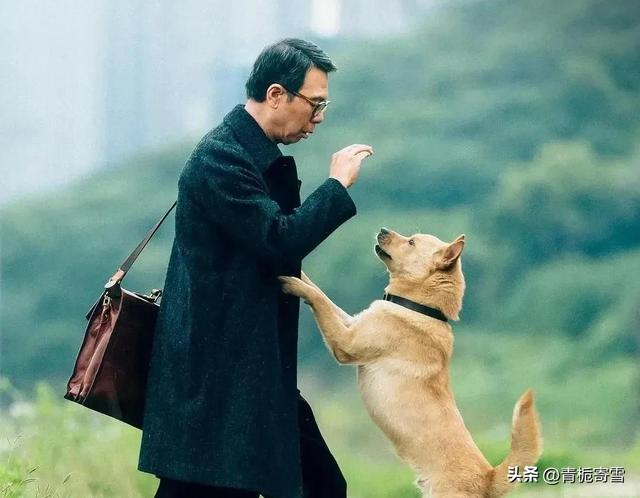 Feng Xiaogang and Chen Chong's latest tear-jerking masterpiece "The ...