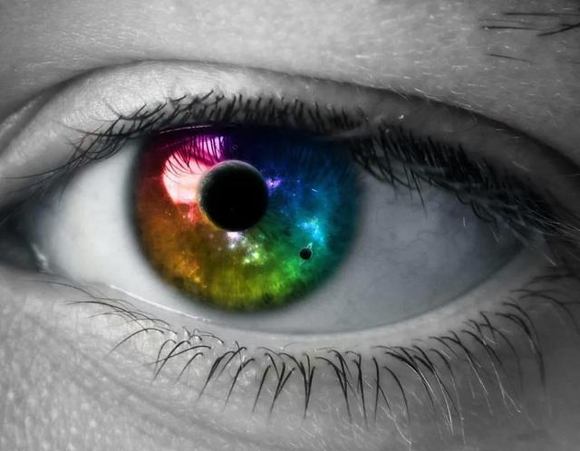 What is the creature with the largest eyes on earth? - iMedia