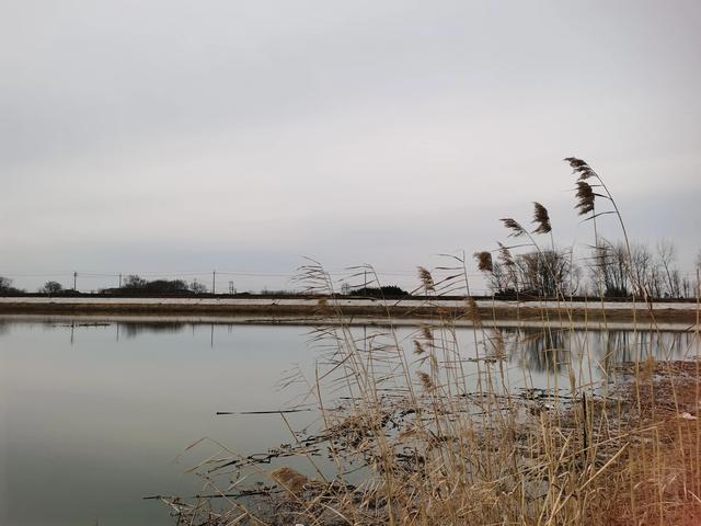 It's spring today - iMedia