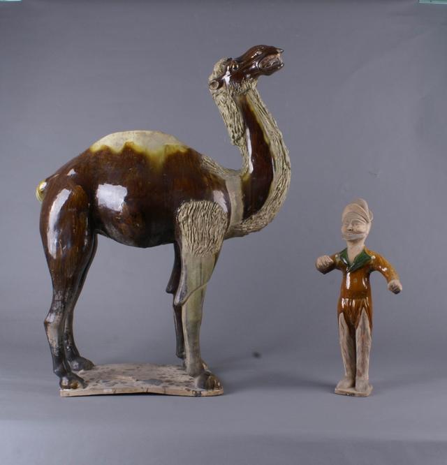 A reasonable imagination for the desert camel team - iMedia