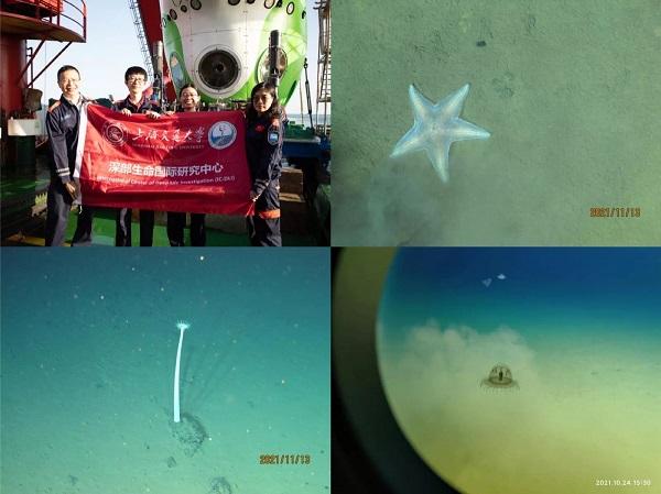 Humans arrived in the Yap Trench for the first time, but scientists are ...