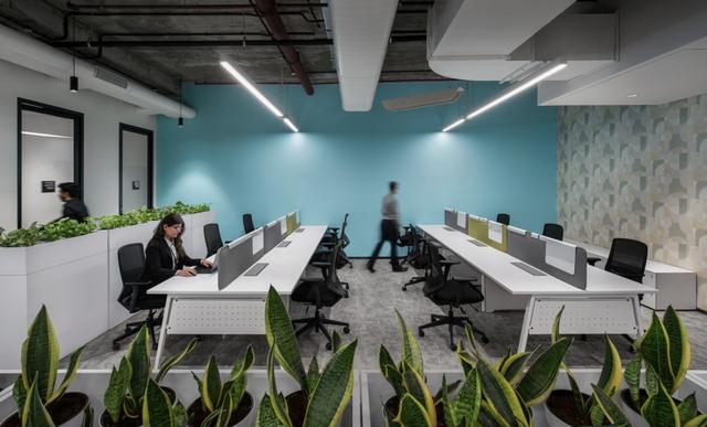 What is cellular office renovation? Does it help morale? _Knowledge ...