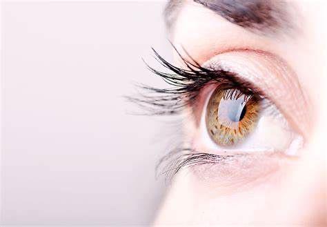 Can Reading in Dim Light Damage Your Eyes? - iMedia