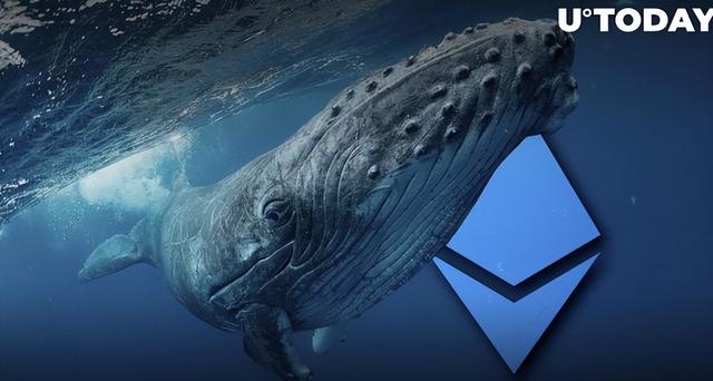 Large Ethereum whales add up to 3.5 million ETH to their bags - iMedia