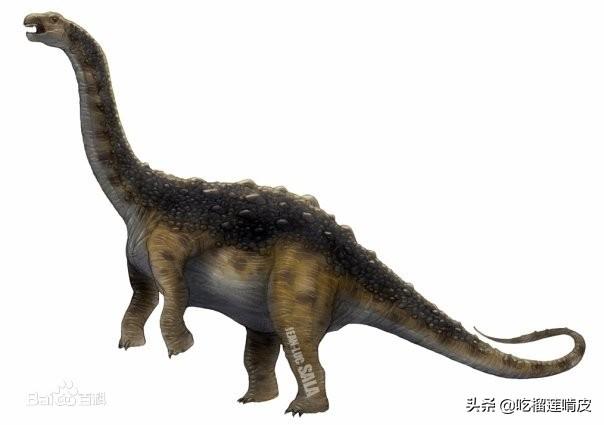 Neuquensaurus (genus name: Neuquensaurus) - iMedia
