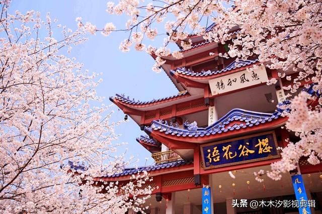 Interesting Facts of the Tang Dynasty 2-Li Yuan's Mutiny in Jinyang ...