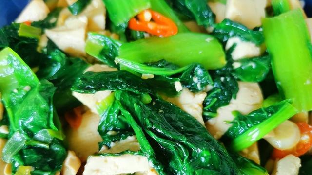 Let the cabbage and leek stand aside. It is the first freshest in ...