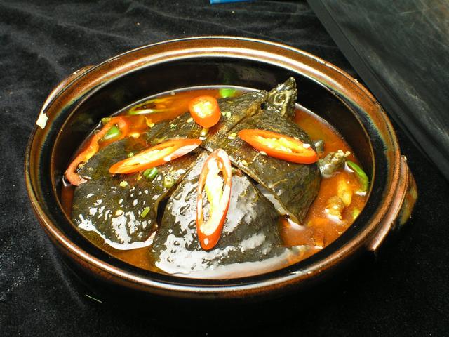 Hunan Cuisine, Red Simmered Turtle, Authentic Cooking Tips, Top Ten ...
