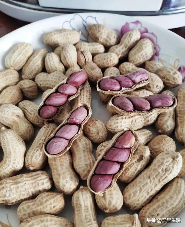 Longyan wet roasted peanuts, a must-have "token" for Longyan people ...