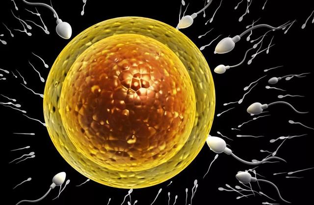 Doctor, yellow semen, is there a problem with the body? - iMedia