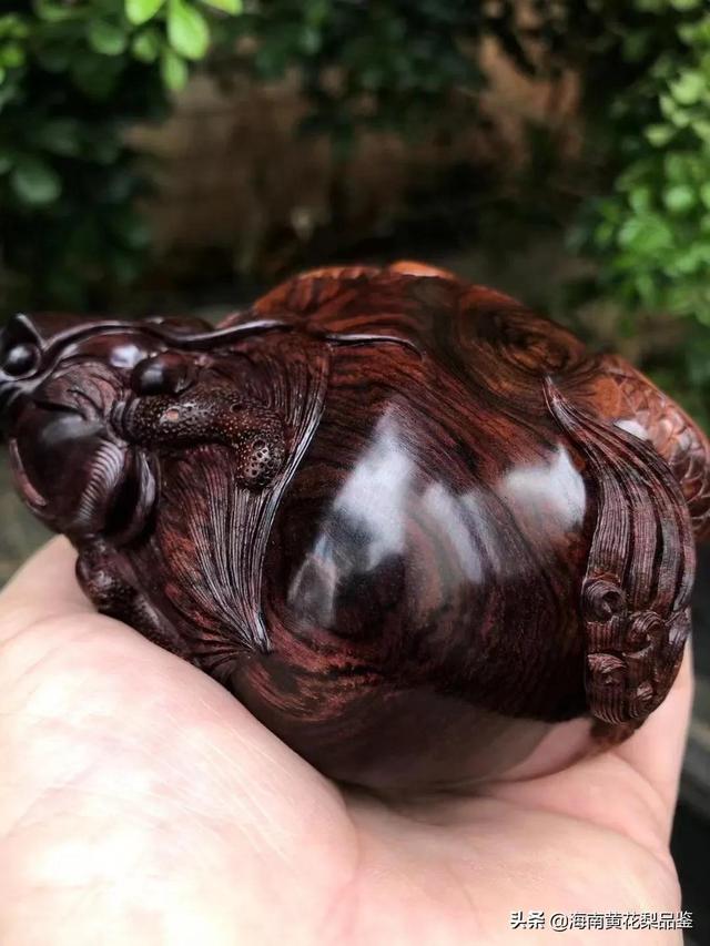 Haihuang·"Dragon Turtle·Ronggui" material is delicate and warm - iMedia