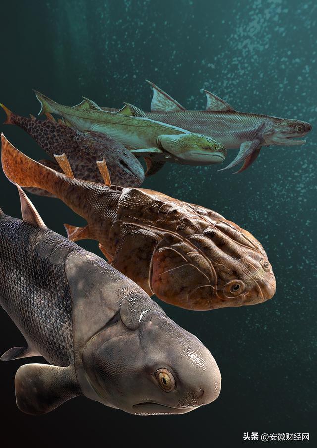 440-million-year-old fish fossils reveal the rise of jawed vertebrates ...