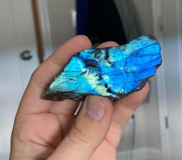 15 photos of objects cleverly disguised as something else - iMedia