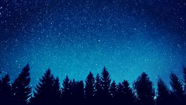 Do humans have free will?Trapped on Earth, designed by higher ...