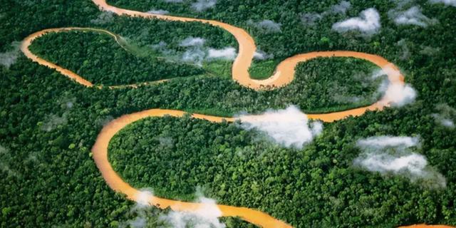The Amazon rainforest, the lungs of the earth, is a green paradise that ...