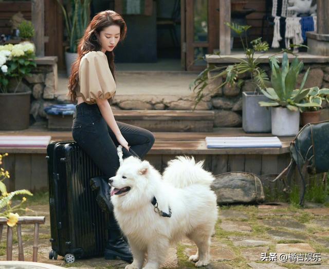 Liu Yifei, Xu Hongdou's walk in the field stills, every moment is ...