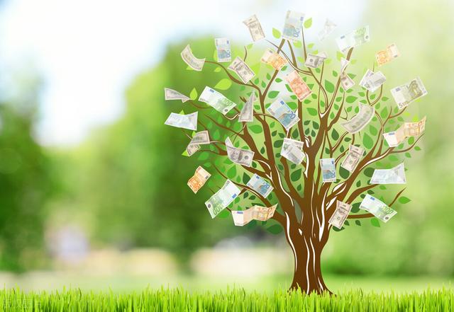 What is the meaning and symbol of the money tree blooming - iMedia