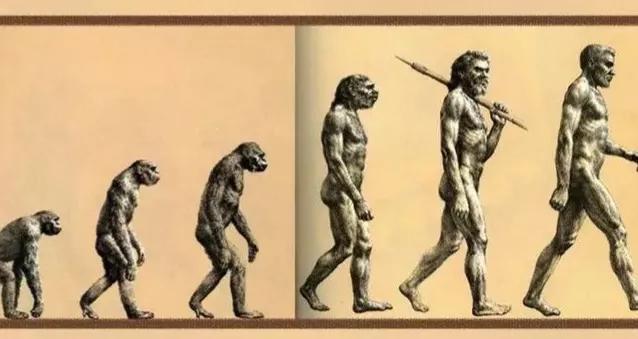 When did humans come from? - iMedia