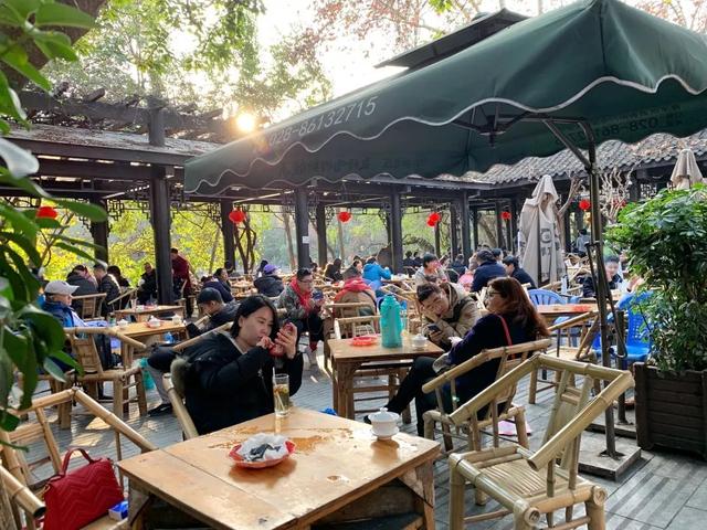 Chengdu 4-day tour strategy: Giant Panda, Kuanzhai Alley, Heming Tea ...