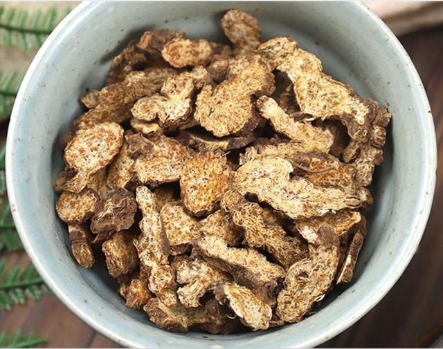 Herbaceous perennials - Atractylodes - iMedia