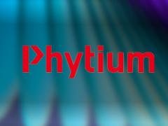 Phytium has completed adaptation certification with more than 3,000 domestic software - iMedia