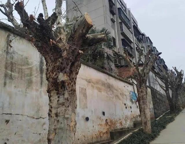 Full River Red and Stream 2 - iMedia