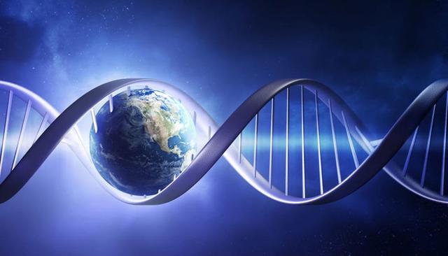 Is silicon-based life the future of mankind? - iMedia