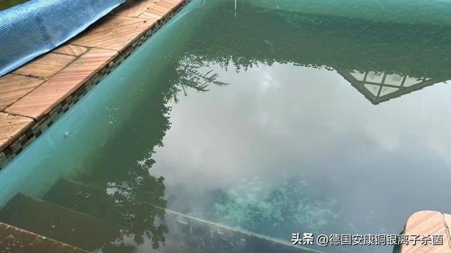 Algae grows in the pool!!Can copper and silver ions work? - iMedia