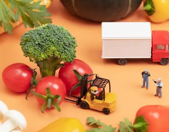 Some fresh food e-commerce companies have "six minefields" - iMedia