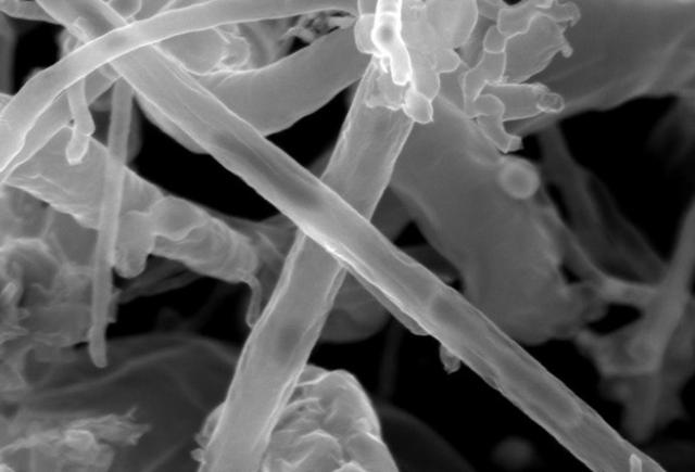 What is the effect of regulating the pore structure of activated carbon ...