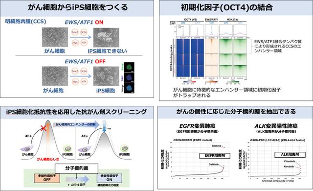 Why can't iPS cells be established from cancer cells?Todai et al ...