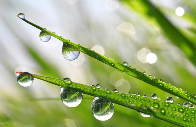 After the white dew, 4 types of common diseases are easy to appear, how ...